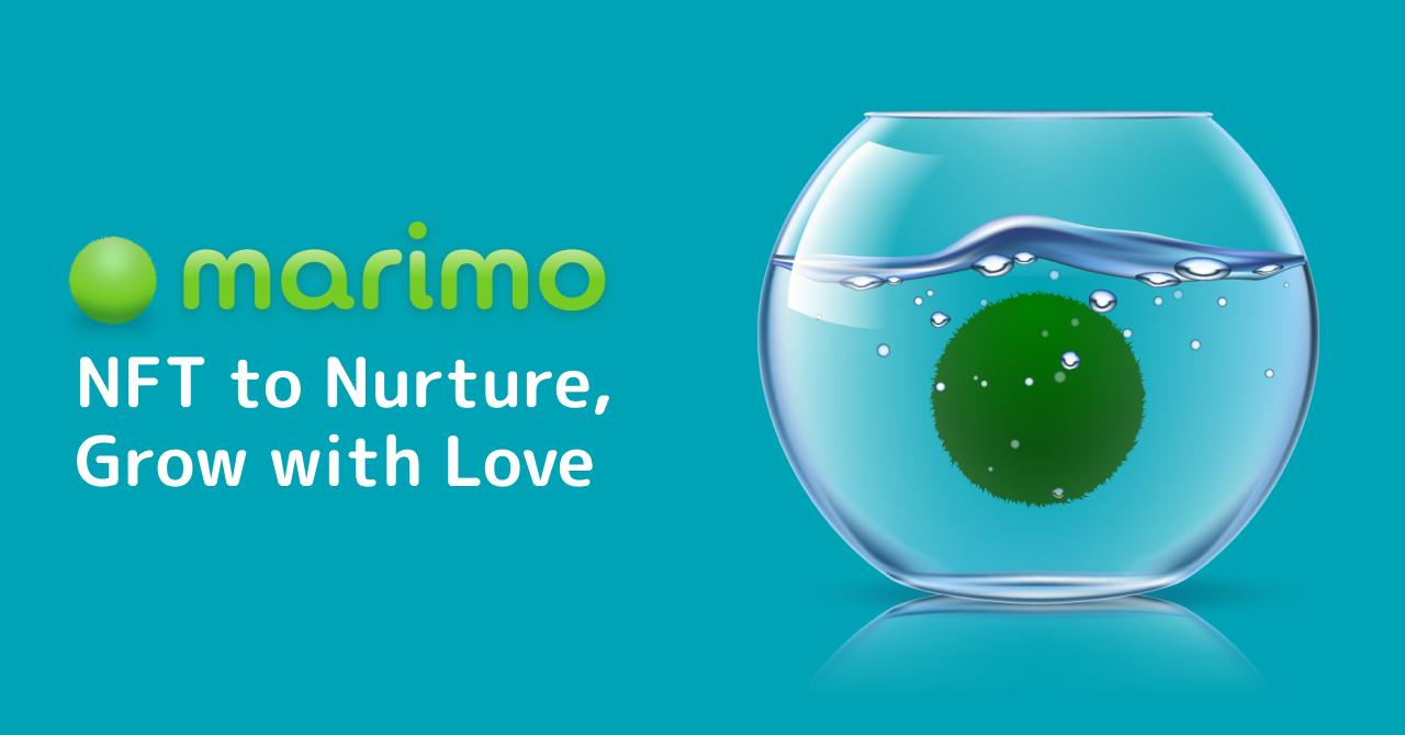 marimo#5701